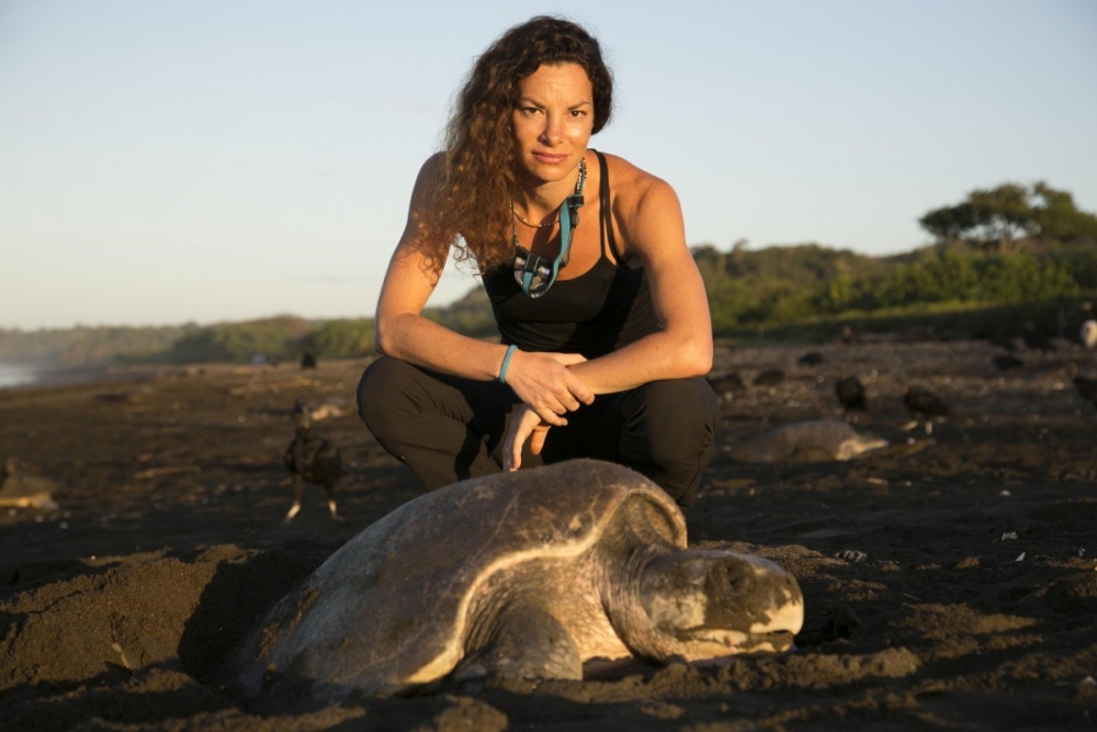 TRAVELS – Wandering Gaia